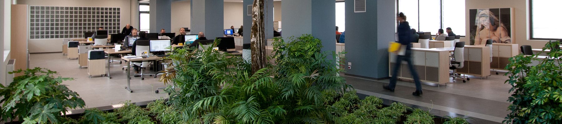 Find out more About us | ACCA software